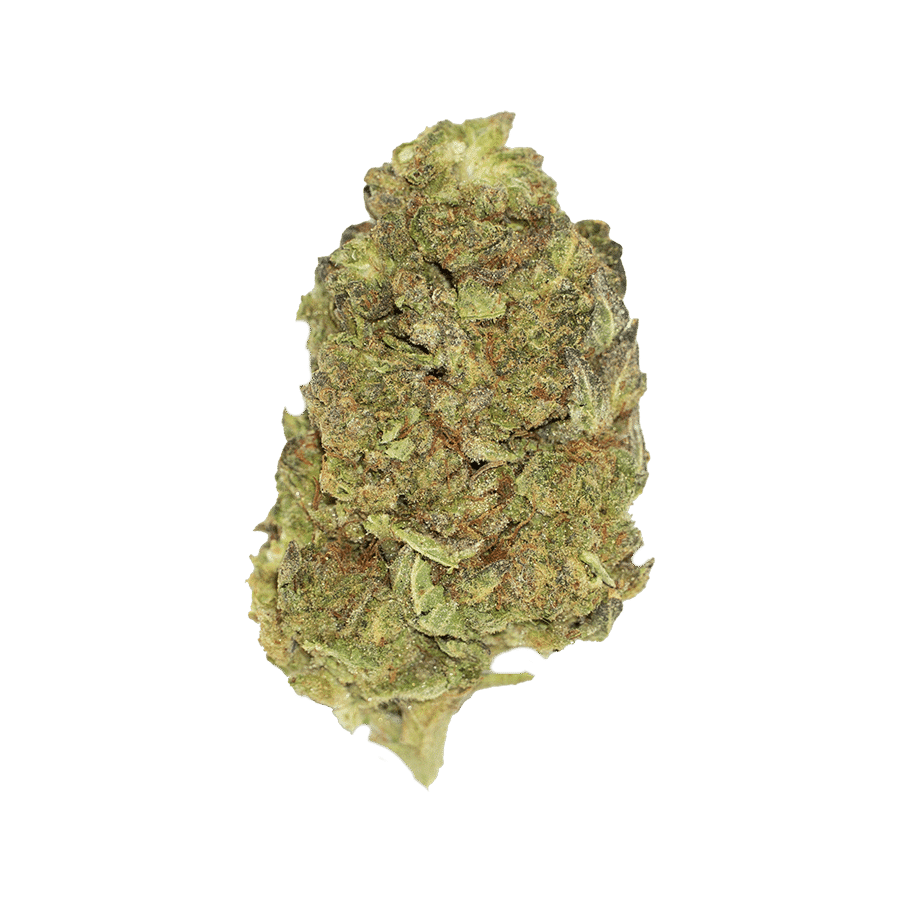 Premium THCA Big Bud Flower - The Hemp Doctor