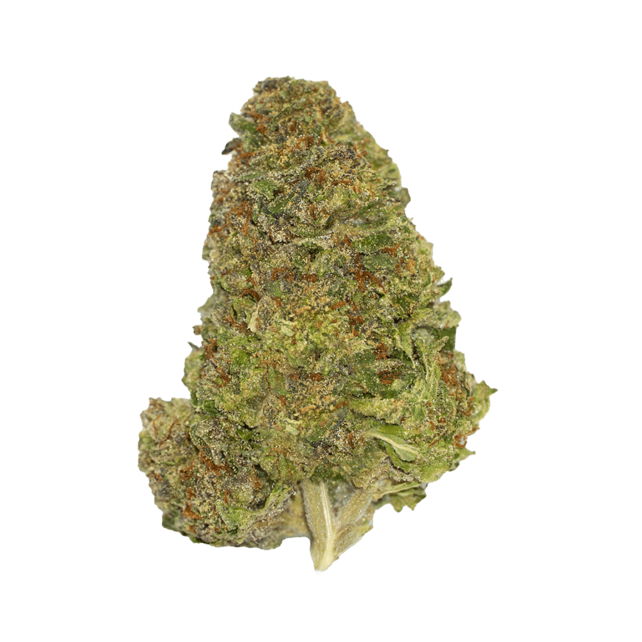 Premium THCA Big Bud Flower - The Hemp Doctor